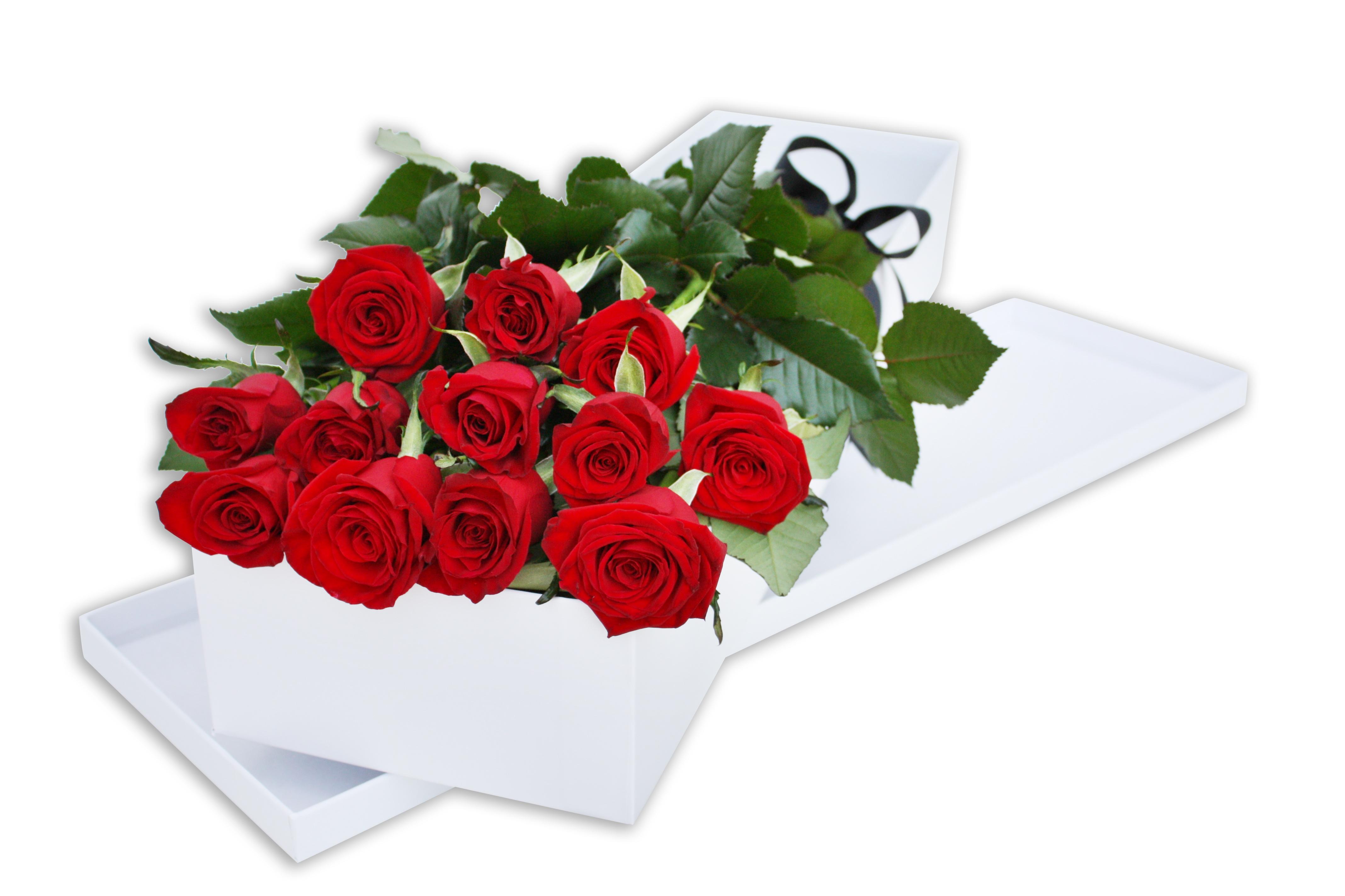 1 Dozen Long Stem Red Roses Gift Box Perth | Roses Perth