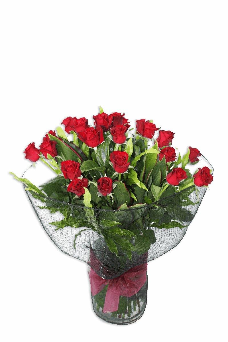 1 Dozen Long Stem Red Roses Perth | 12 Red Roses Perth