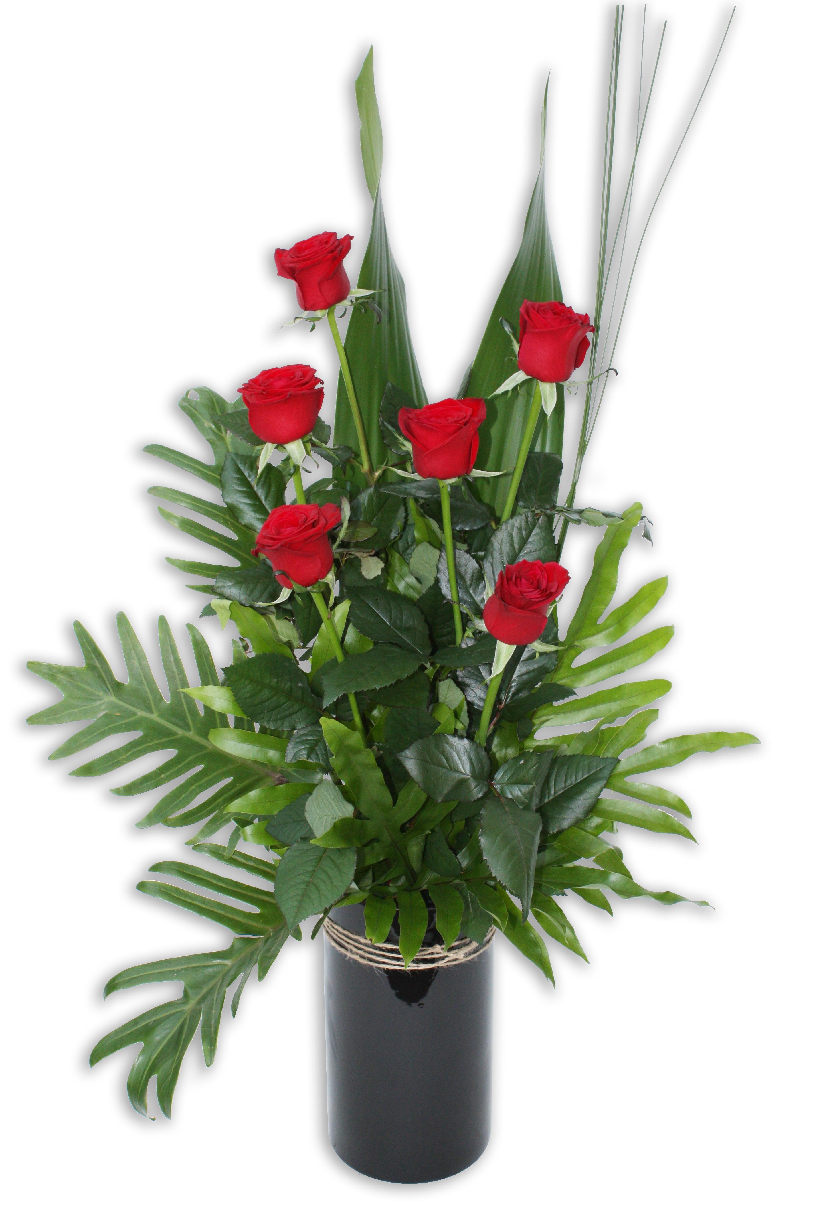 6 Long Stem Red Roses Perth | Roses Perth