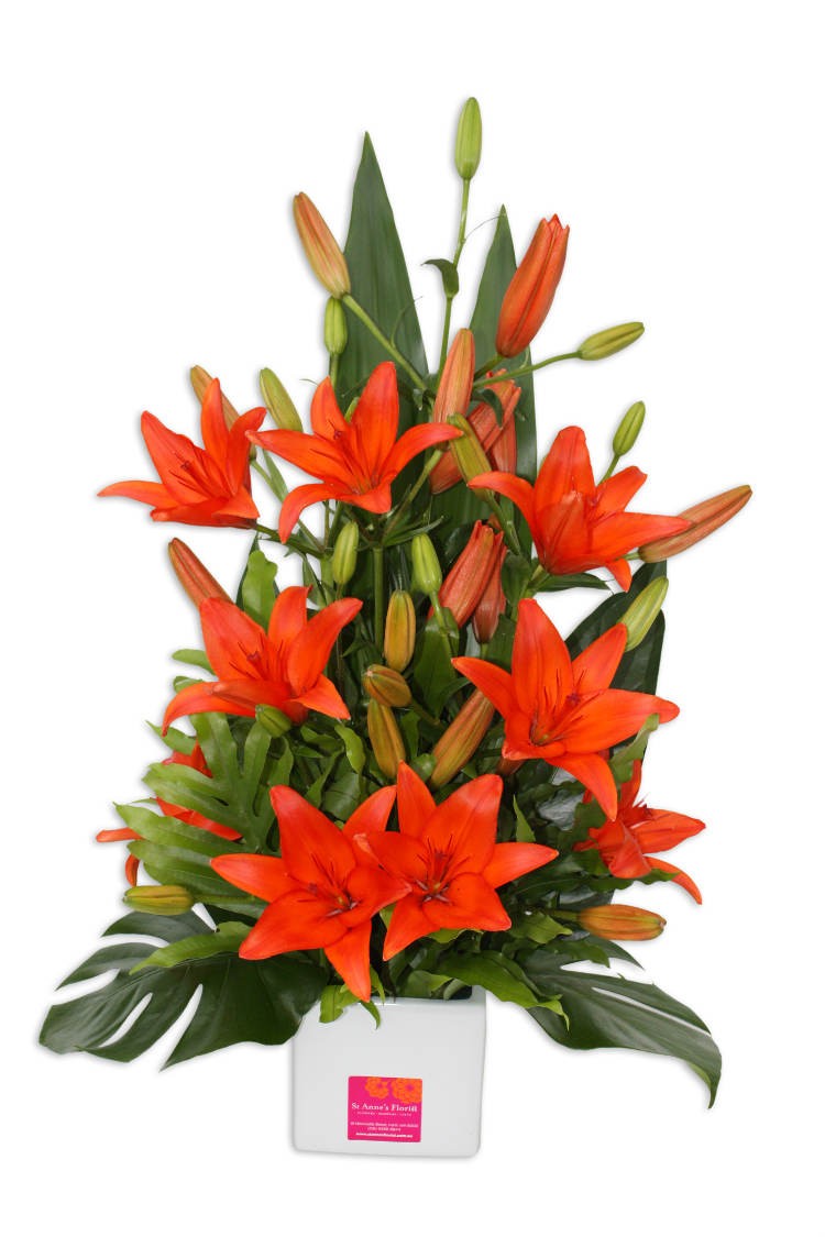 Lilium Flower Arrangement Perth | Lilies Perth