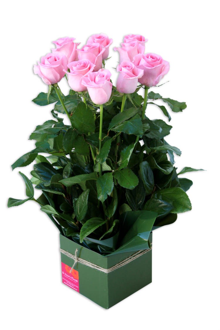 Roses Perth | Perth Rose Delivery